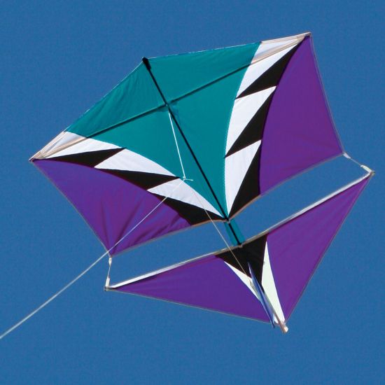 ঘুড়ি উৎসব ও ভিন্ন ধরণের ঘুড়ির তালিকা - Progotir Bangla