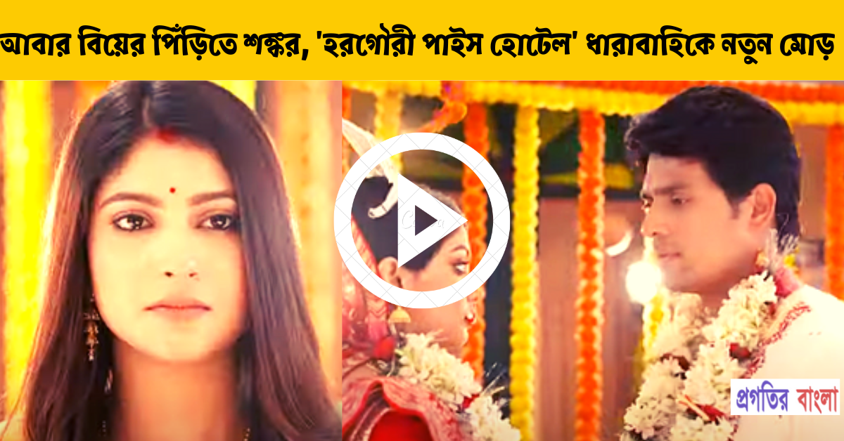 আবার বিয়ের পিঁড়িতে শঙ্কর, 'হরগৌরী পাইস হোটেল' ধারাবাহিকে নতুন মোড় - Progotir Bangla