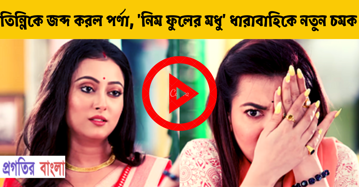 তিন্নিকে জব্দ করল পর্ণা, 'নিম ফুলের মধু' ধারাবাহিকে নতুন চমক - Progotir Bangla